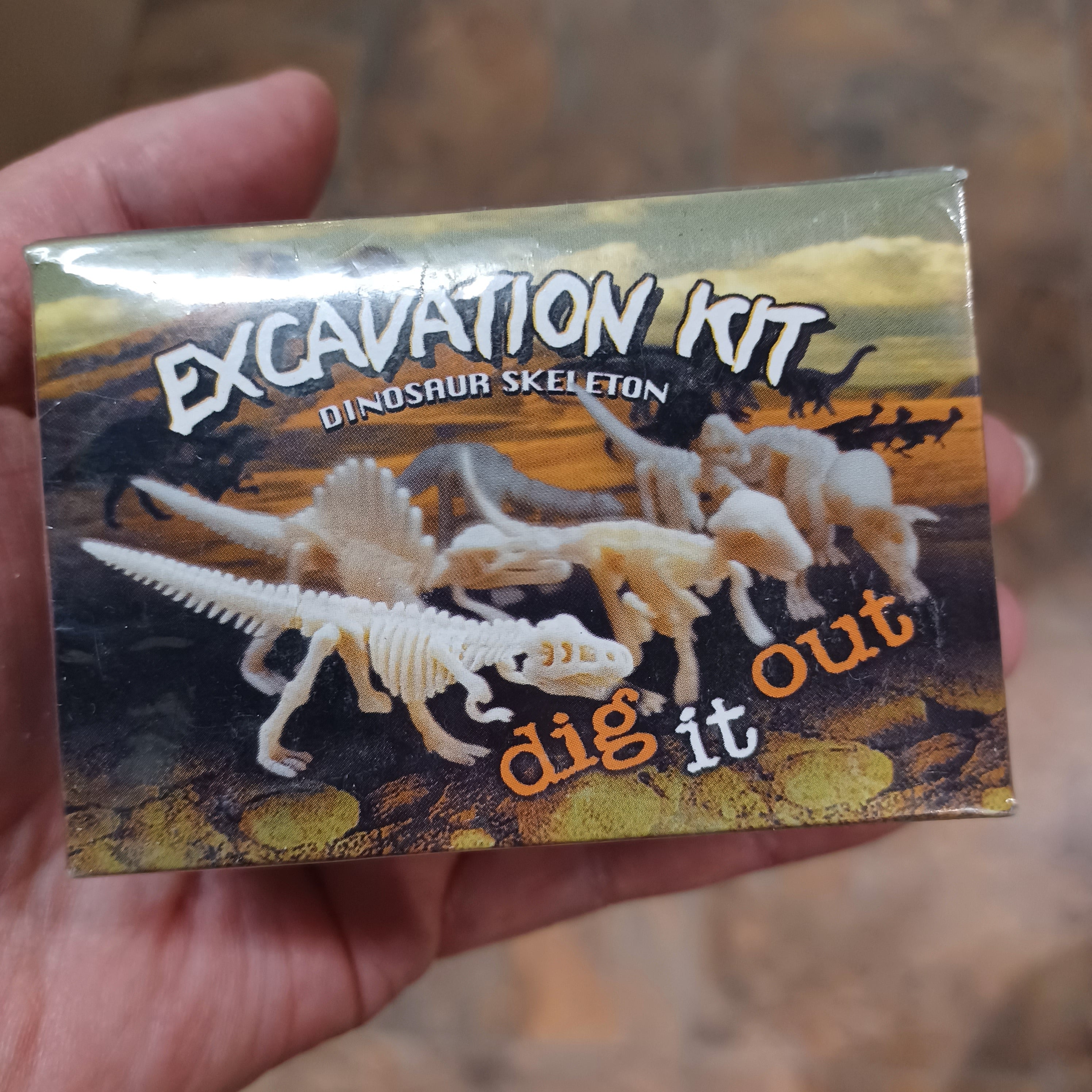 Dinosaur Excavation Kit – The Shiny Company Wpg